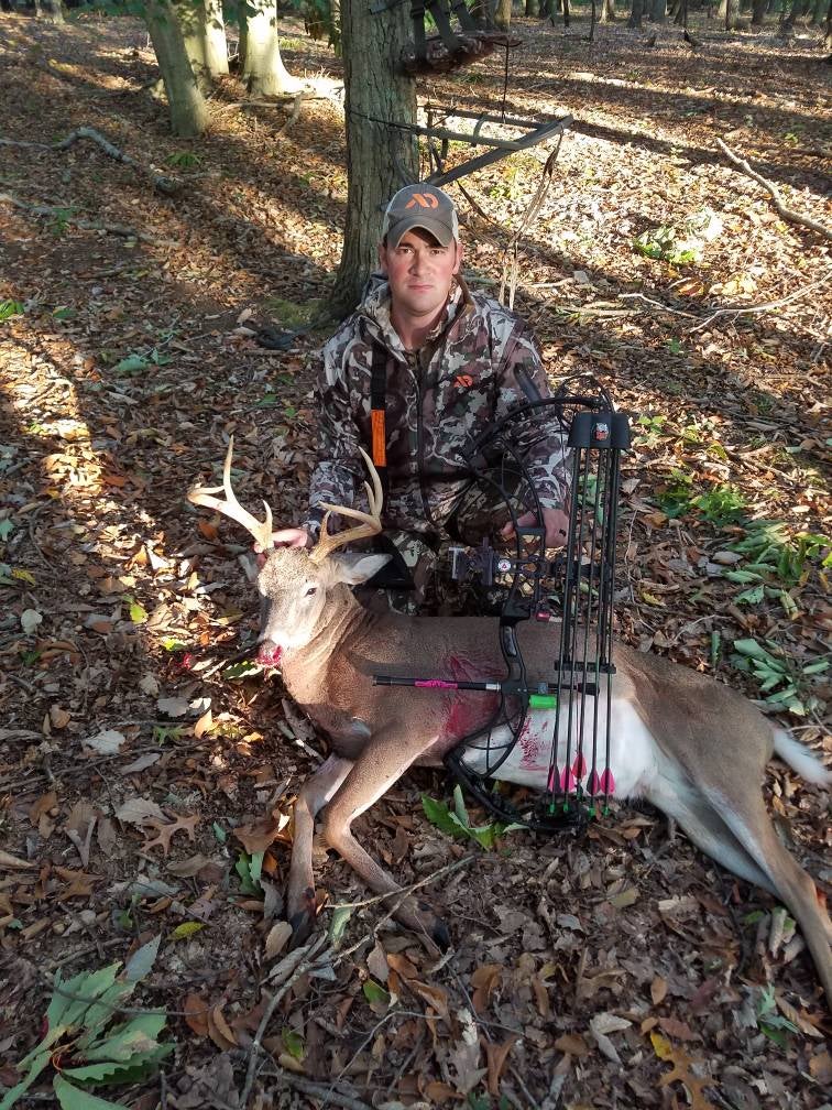 TAP stabilizers | Archery Talk Forum