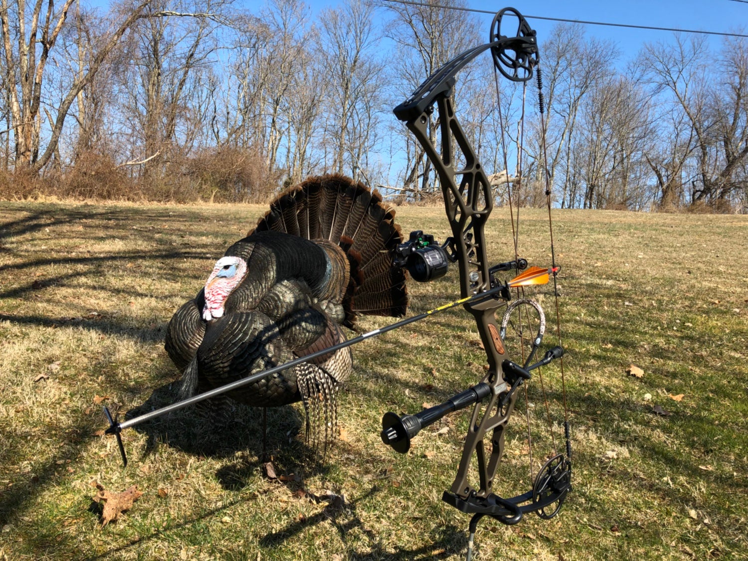 Official Elite Ritual picture thread | Archery Talk Forum