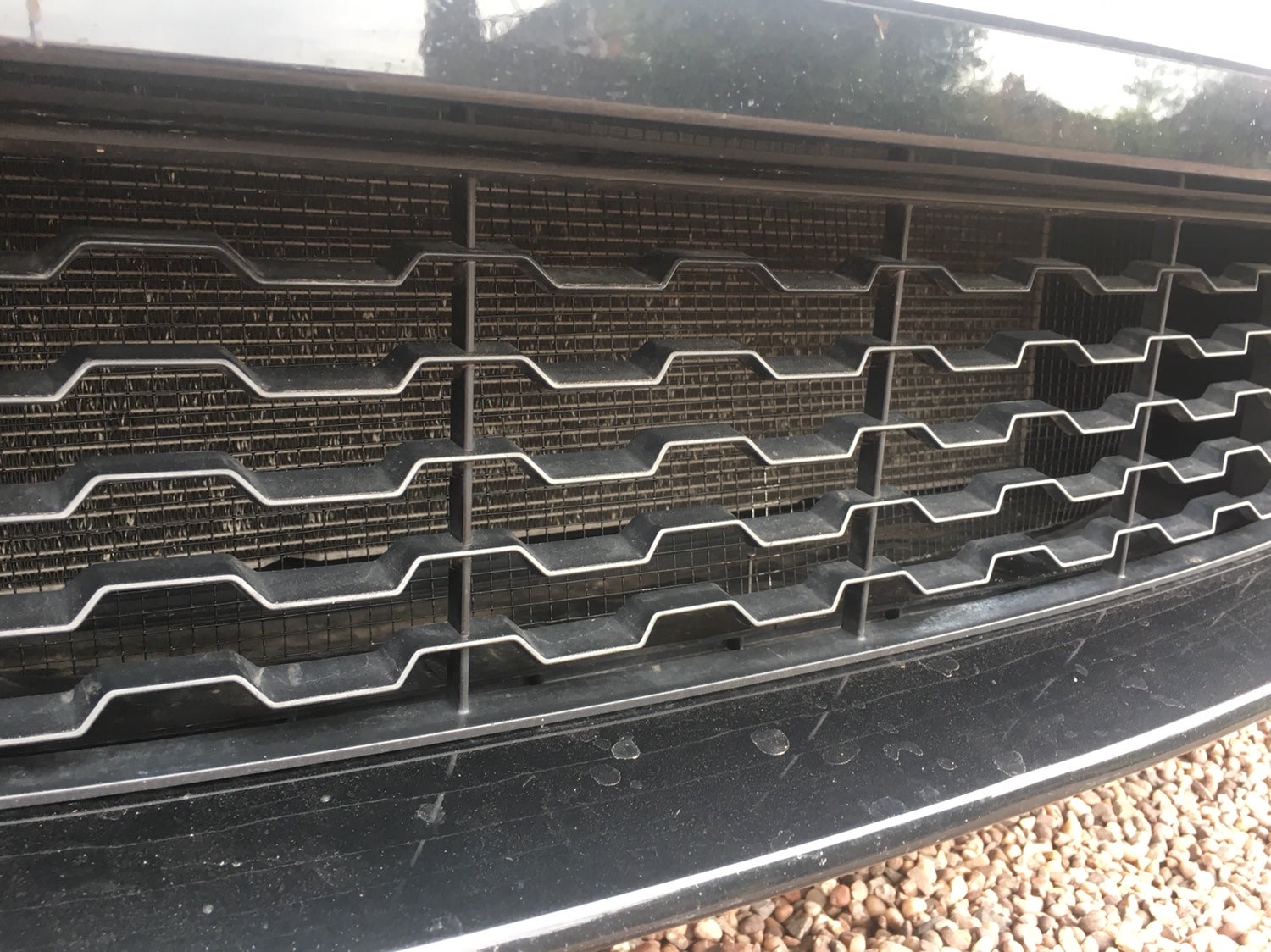 Radiator Mesh | Baby BMW Forum