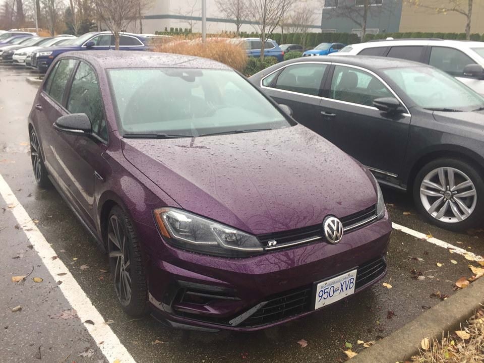 2018 Golf R - Deep Violet Pearl | VW Vortex - Volkswagen Forum