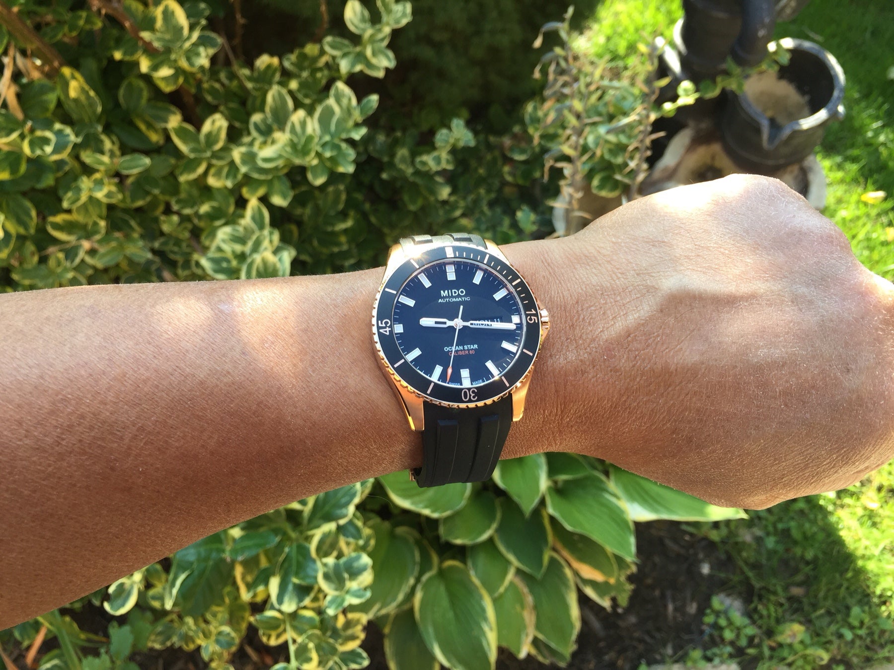 Recommendations for a Rose Gold Diver Watch | WatchUSeek Watch Forums
