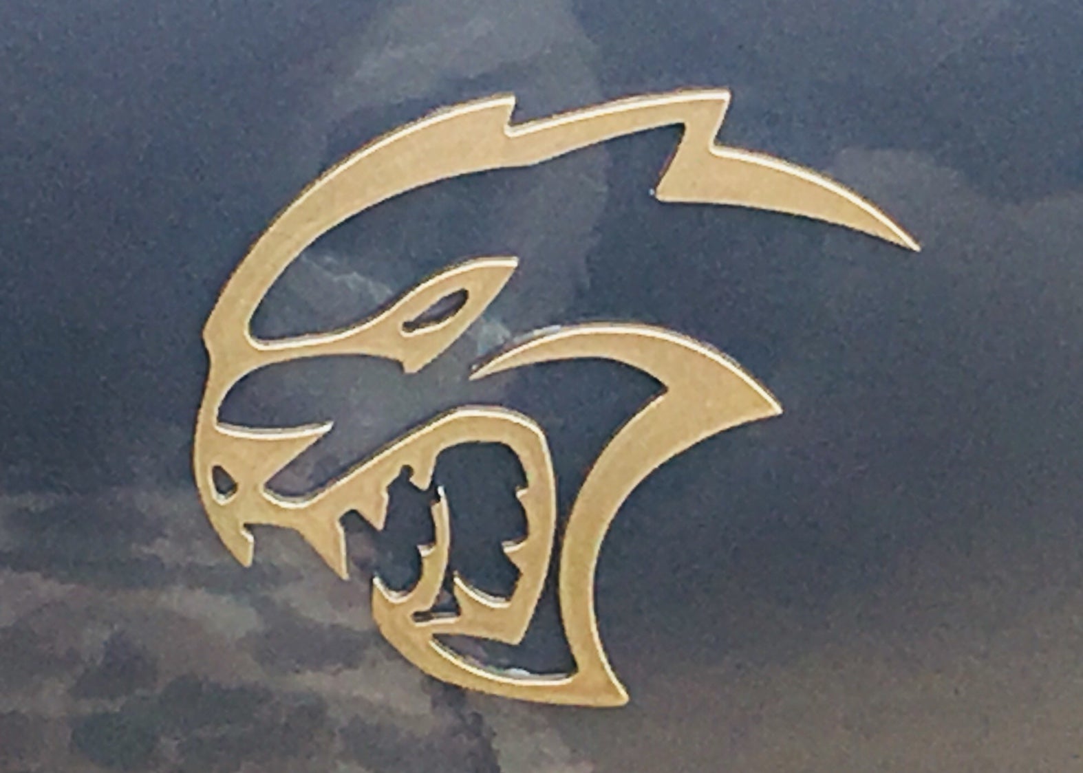 Hellcat Fender Emblems | SRT Hellcat Forum