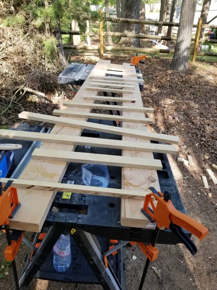 Moose Van Build | Page 3 | Ford Transit USA Forum