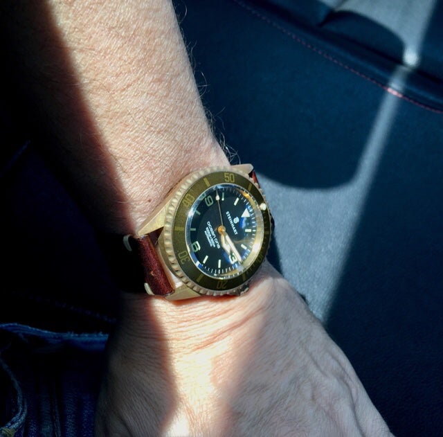 Need Steiny sanity check or insanity support | WatchUSeek Watch Forums