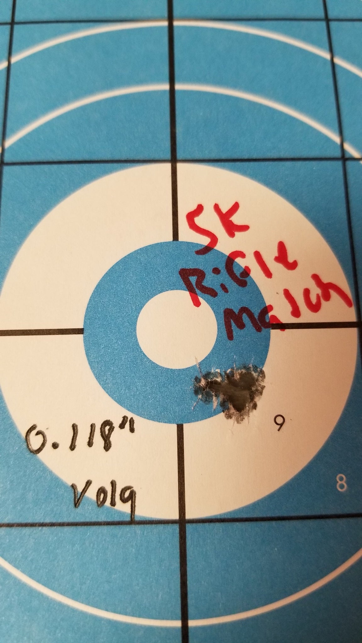 Summit/Volquartsen straight pull build range report | Rimfire Central ...
