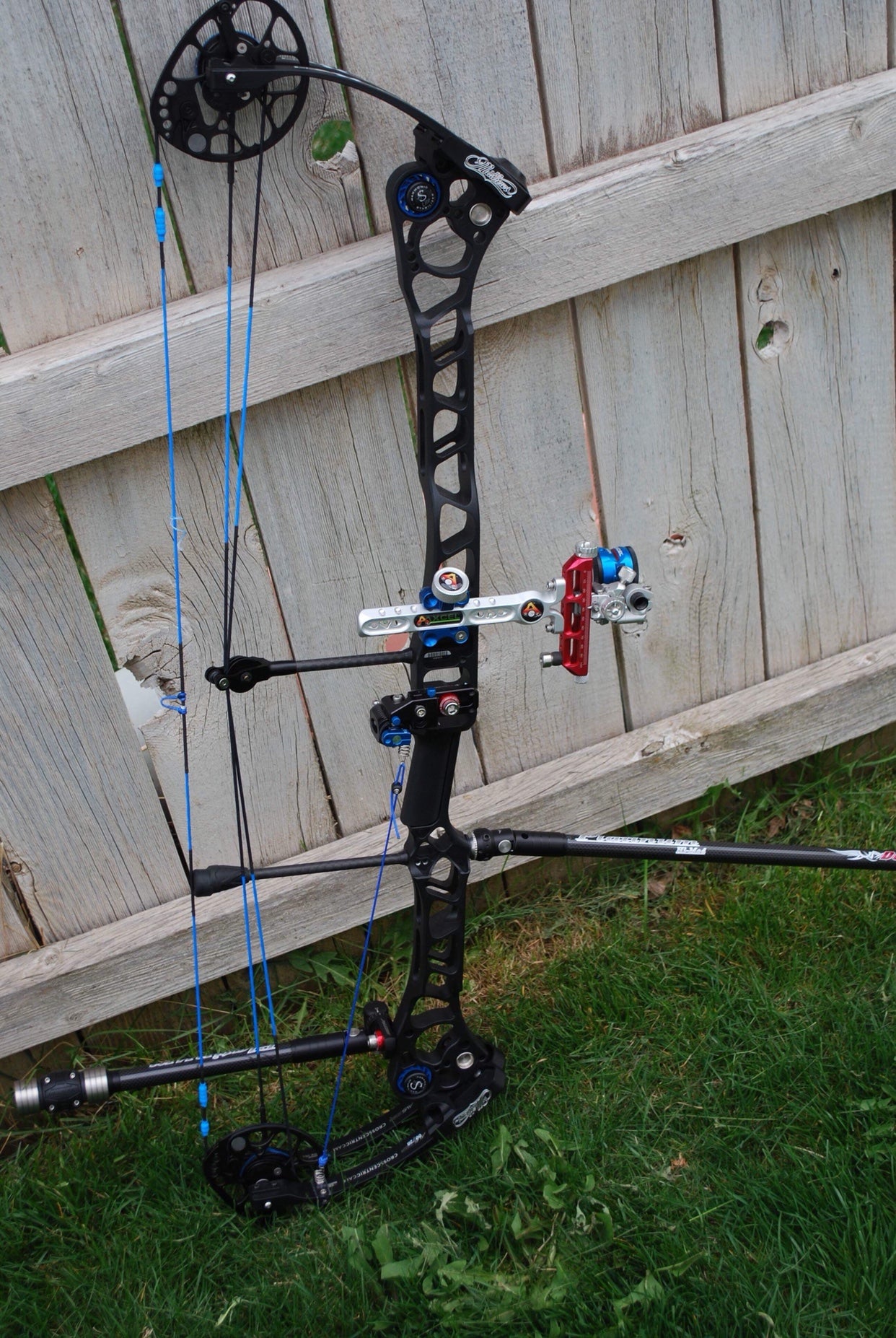 Electric Blue strings combo colors | Archery Talk Forum