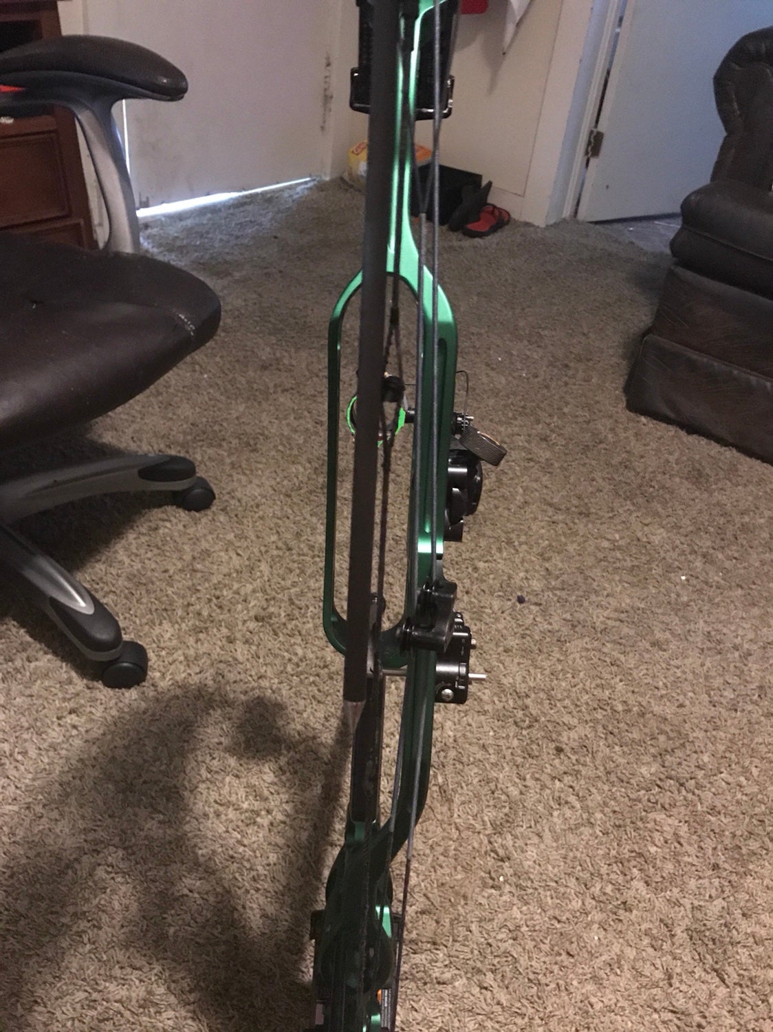 Hoyt ProForce review | Archery Talk Forum