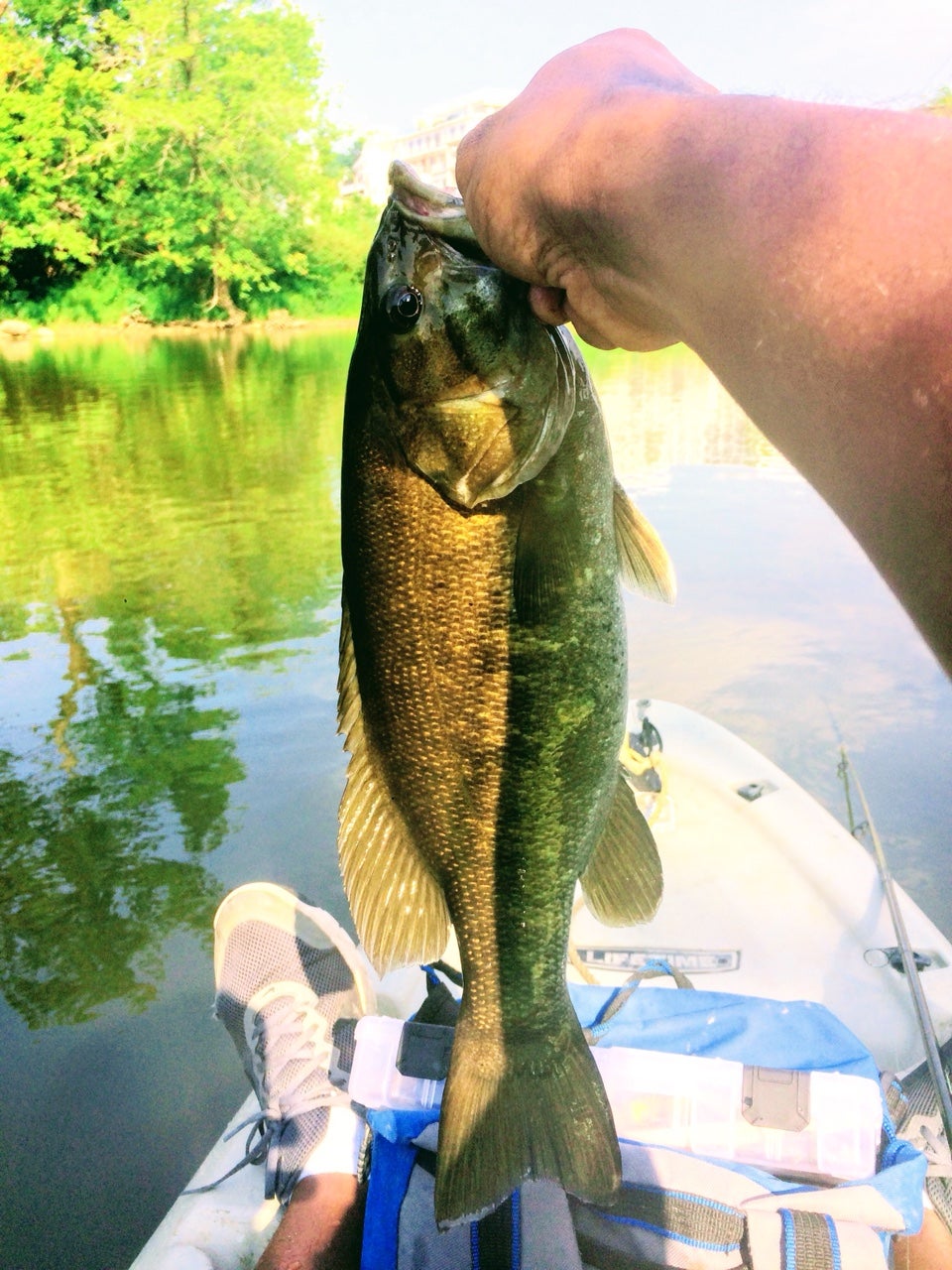 Scioto River near Griggs | Ohio Game Fishing