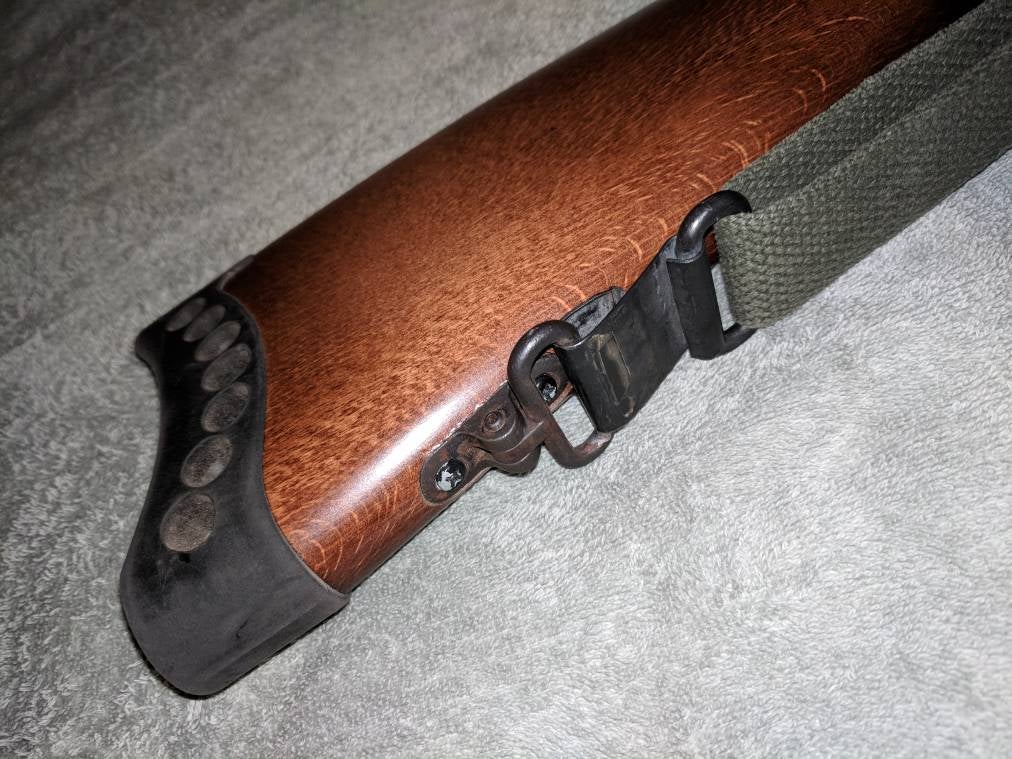 Project Appleseed 10/22 | Rimfire Central Firearm Forum
