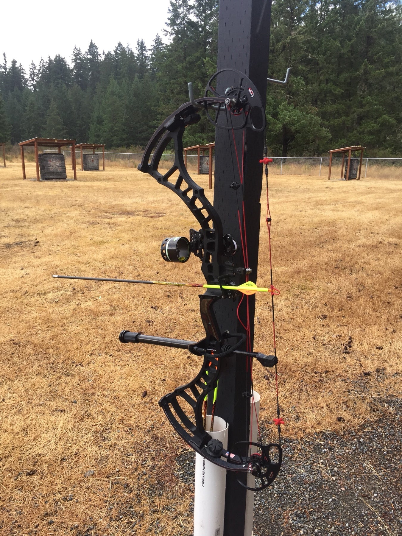Resurrection of a dinosaur | Archery Talk Forum