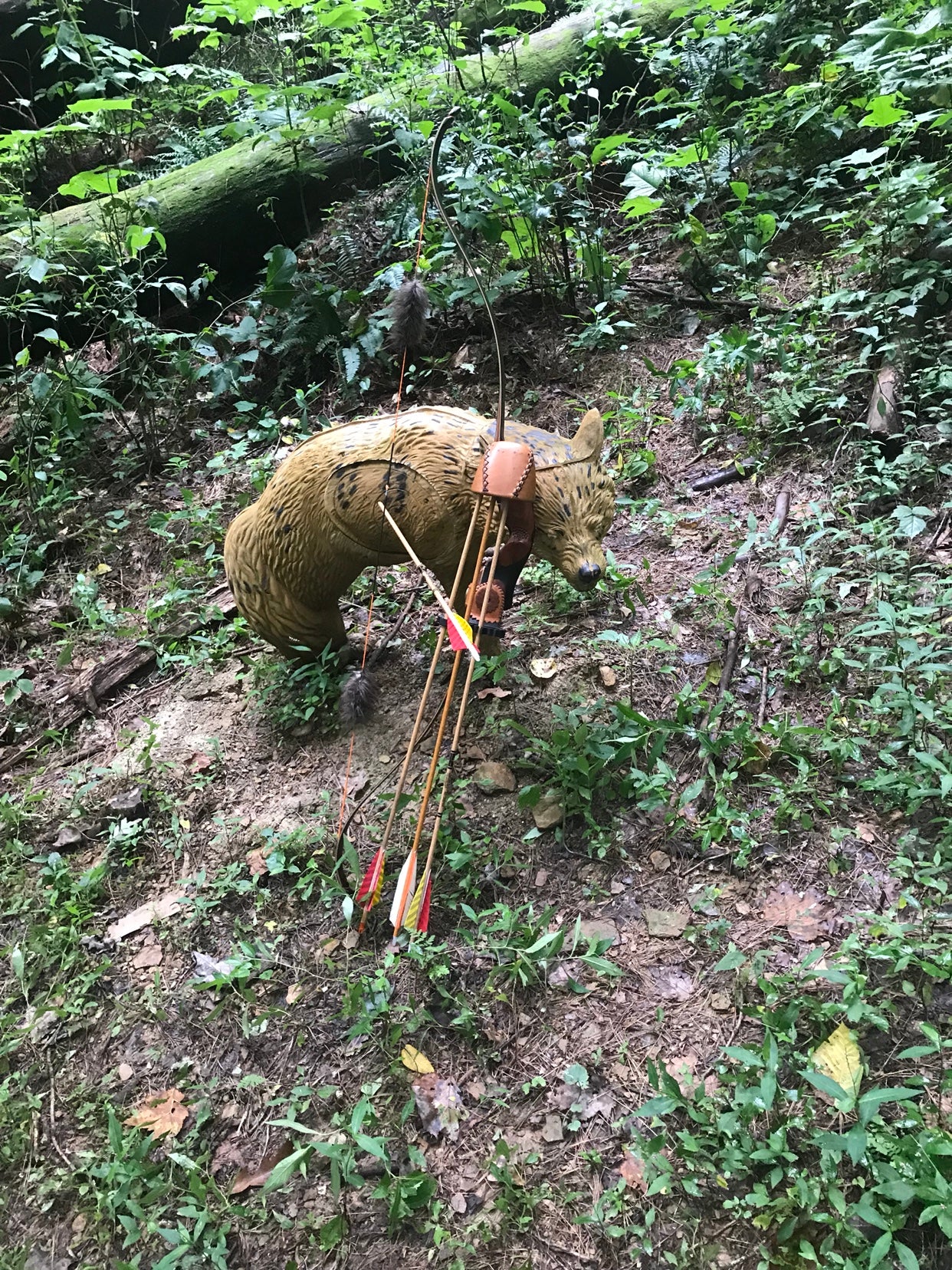 Show your Timberghost | Archery Talk Forum