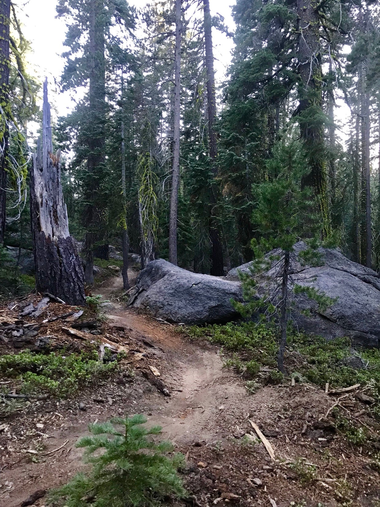 Big chief trail | Mountain Bike Reviews Forum