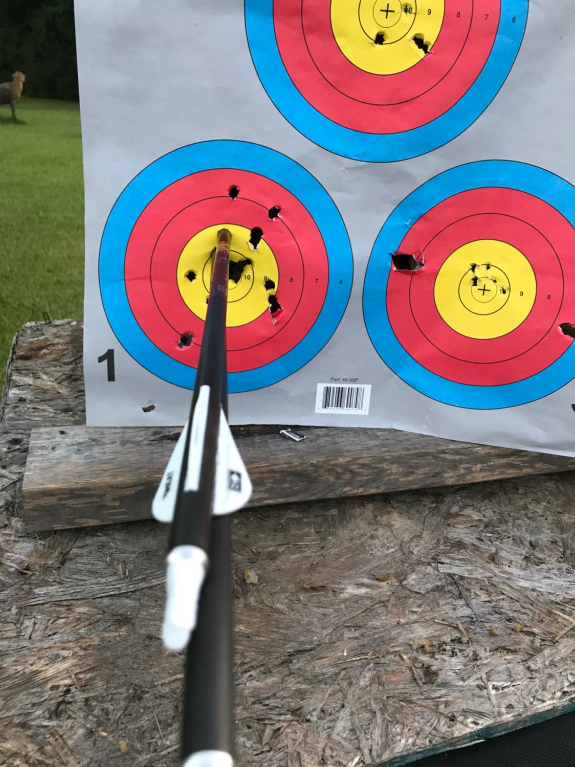 Hoyt ProForce review | Archery Talk Forum