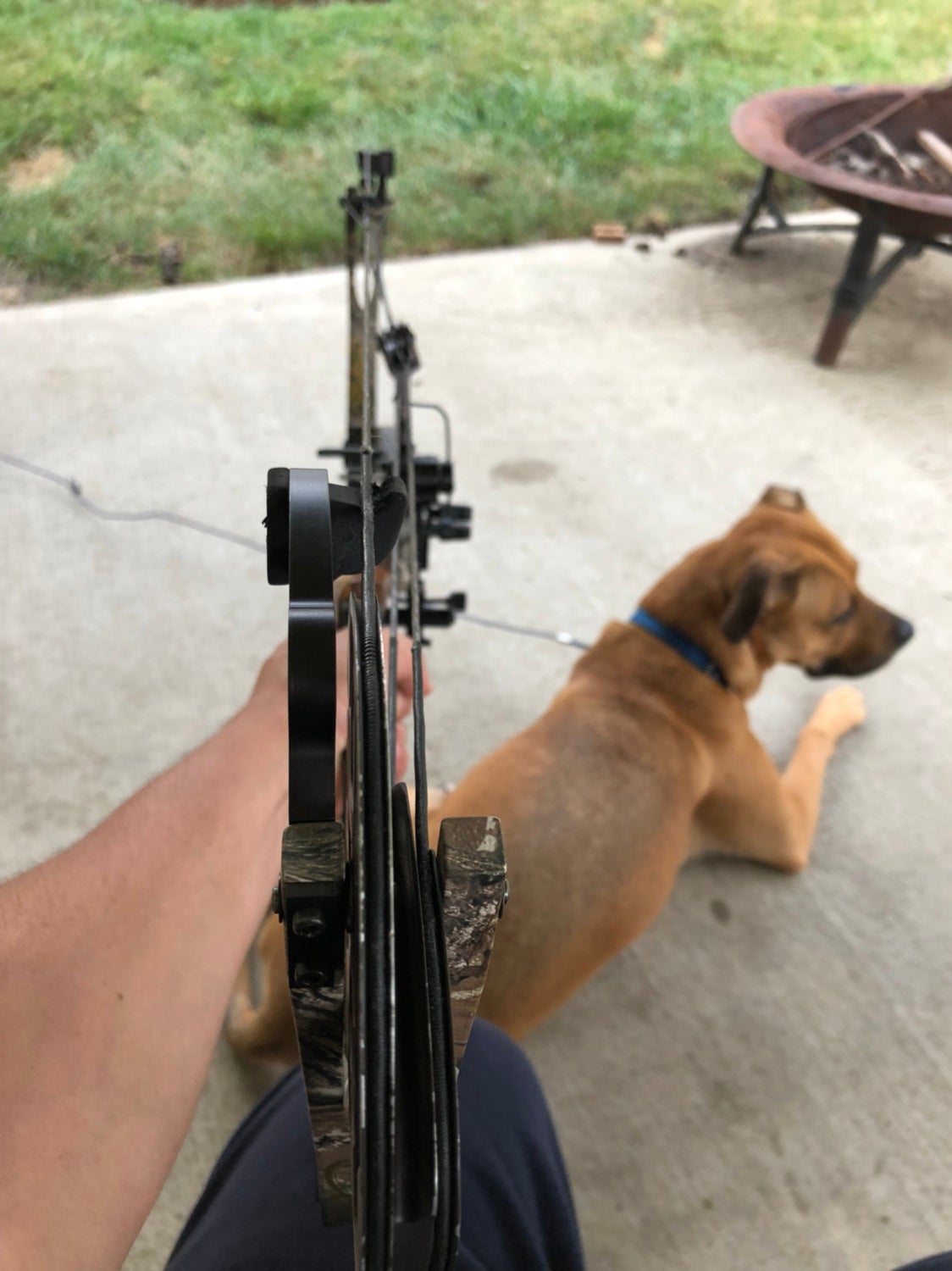 Mathews Drenalin cam lean?? | Archery Talk Forum