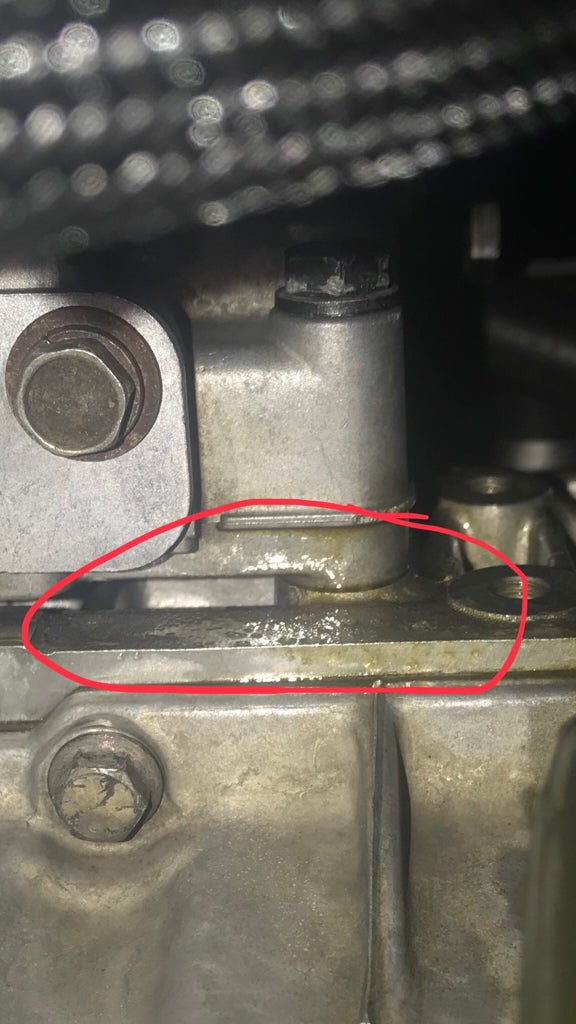 Bad Oil filter housing or defective gasket? | E46 Fanatics Forum