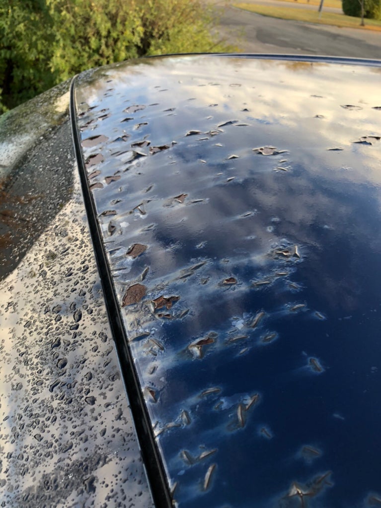 Wheel arch patch panels | Chevy and GMC Duramax Diesel Forum