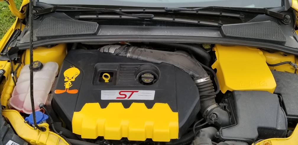 Has anyone here custom painted their engine covers? | Page 11 | Ford ...