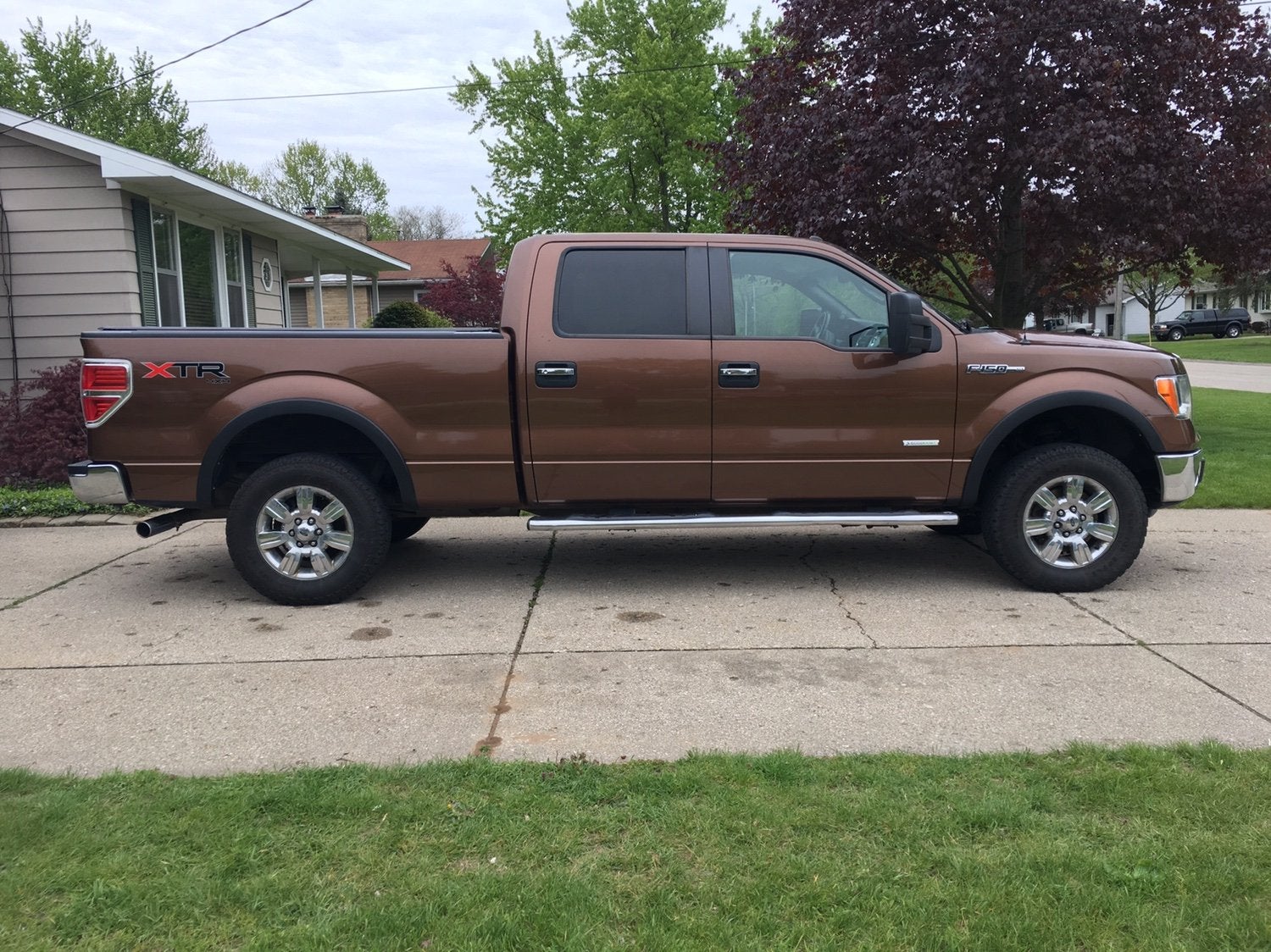 Monstaliner color on my golden bronze metallic?? | F150 Ecoboost Forum