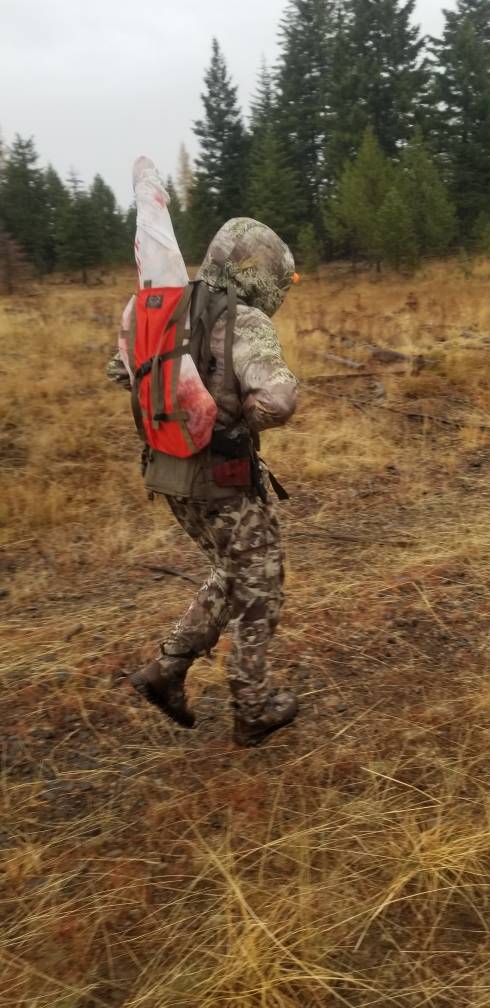 Sled springs elk, any bull help? Hunting now. | IFish Fishing Forum