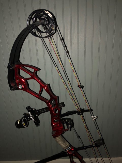 Opinions On bow string color | Archery Talk Forum