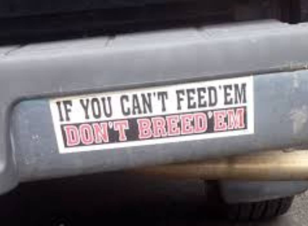 Best Memes | Page 9 | F150 Ecoboost Forum