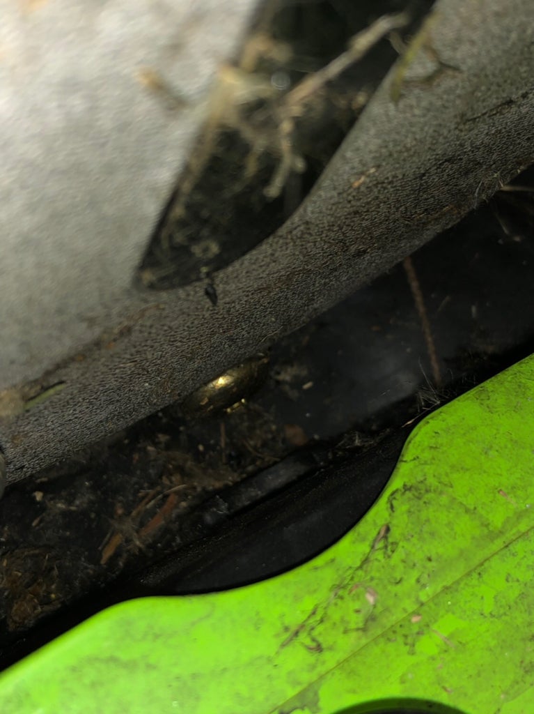 chain case oil change | Arctic Chat : Arctic Cat Forum