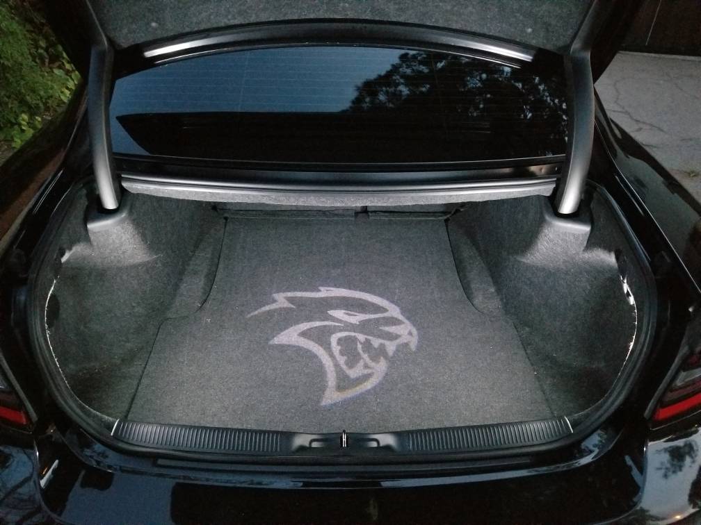 Custom Hellcat Trunk Light | SRT Hellcat Forum