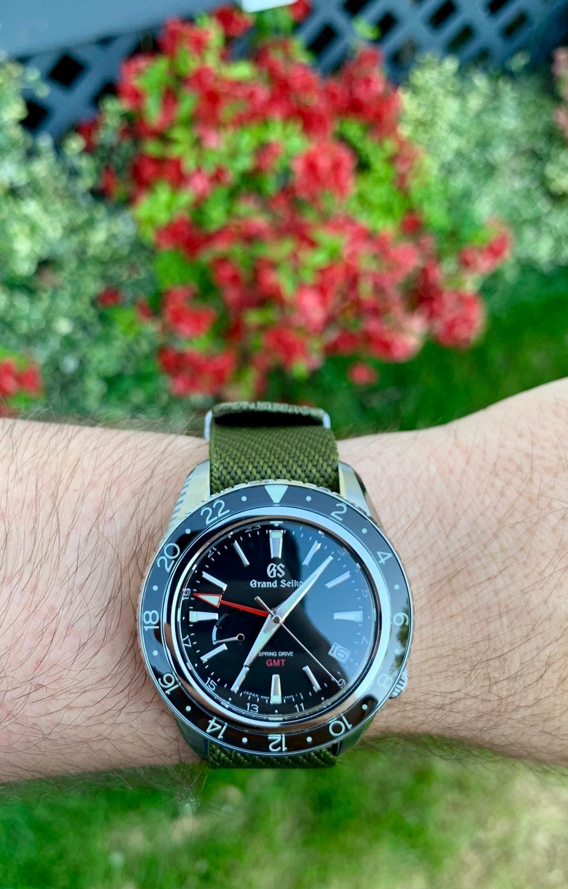 Diver Or GMT WatchUSeek Watch Forums diver-or-gmt-watchuseek-watch-forums
