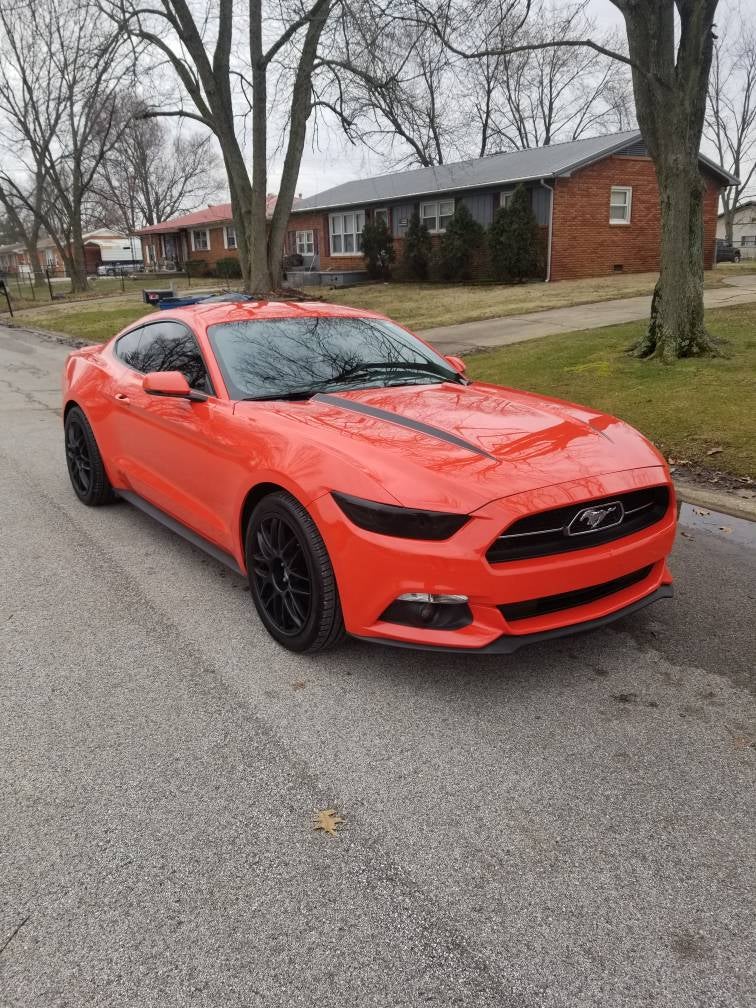 The Competition Orange Mustang Ecoboost Photo Thread | Page 3 | Ford ...