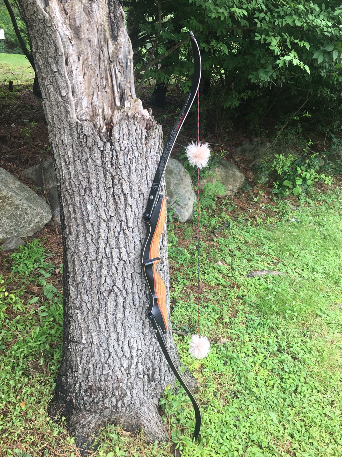 White Feather Lark riser? | Page 11 | Archery Talk Forum