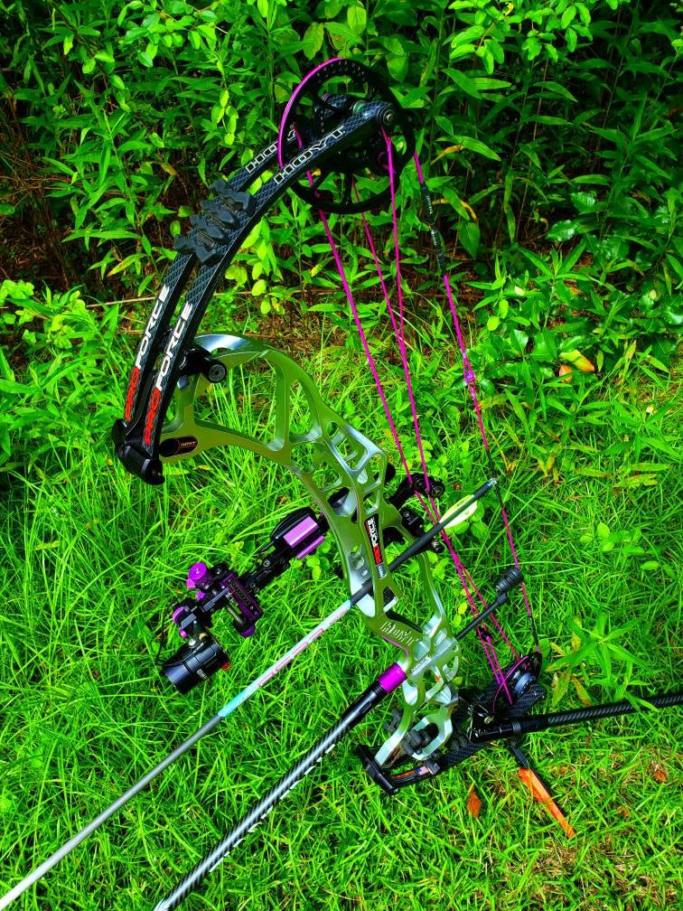 My take on the Hoyt Proforce | Archery Talk Forum