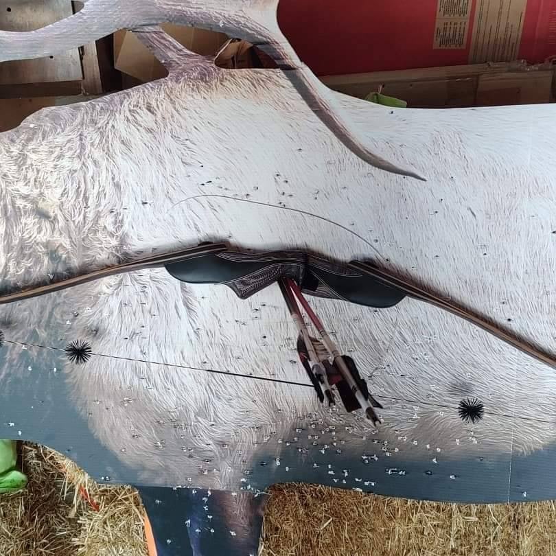 Elk Vital Measurements | Archery Talk Forum