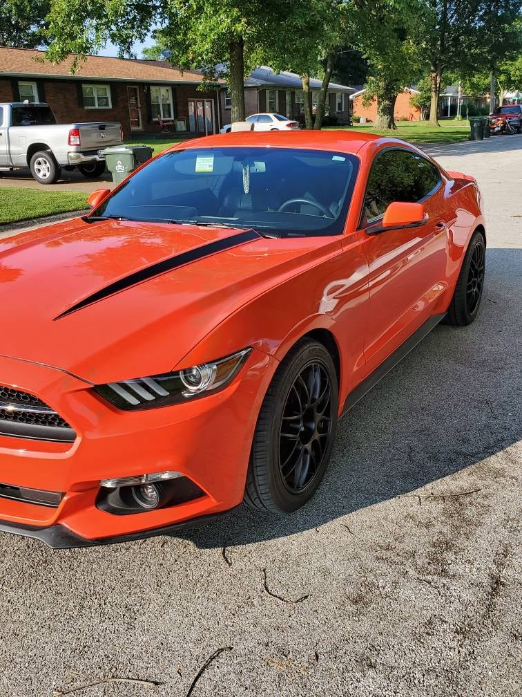 The Competition Orange Mustang Ecoboost Photo Thread | Page 3 | Ford ...
