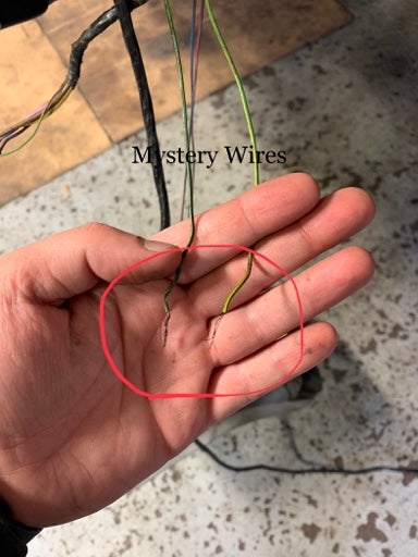 Front Bumper Wiring Harness Mystery Wire Fog Horn Temp Sensor | E46 ...