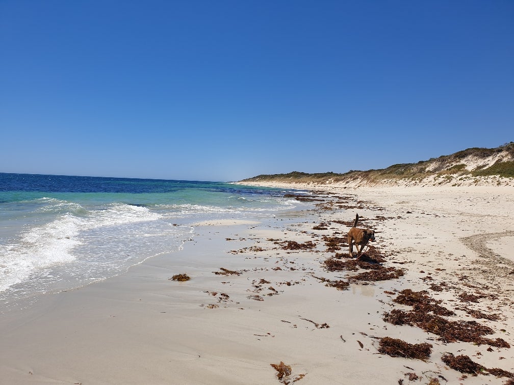 Day trip Guilderton to Seabird, WA | Patrol 4x4 - Nissan Patrol Forum