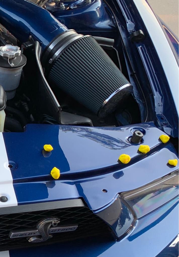 JLT painted radiator cover with KR intake? | Ford Shelby GT500 Forum