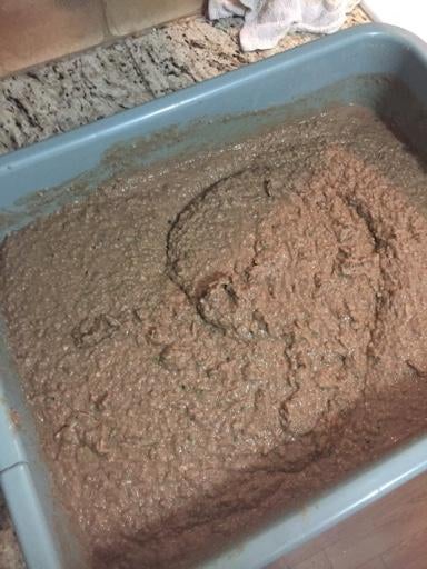 Dehydrated refried pinto beans | Survivalist Forum