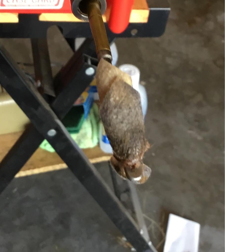 Cleaning a pitted barrel | Firearms Talk