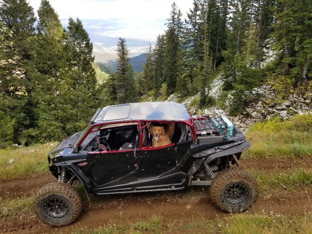 Shock Therapy set up | Polaris RZR Forum - RZR Forums.net