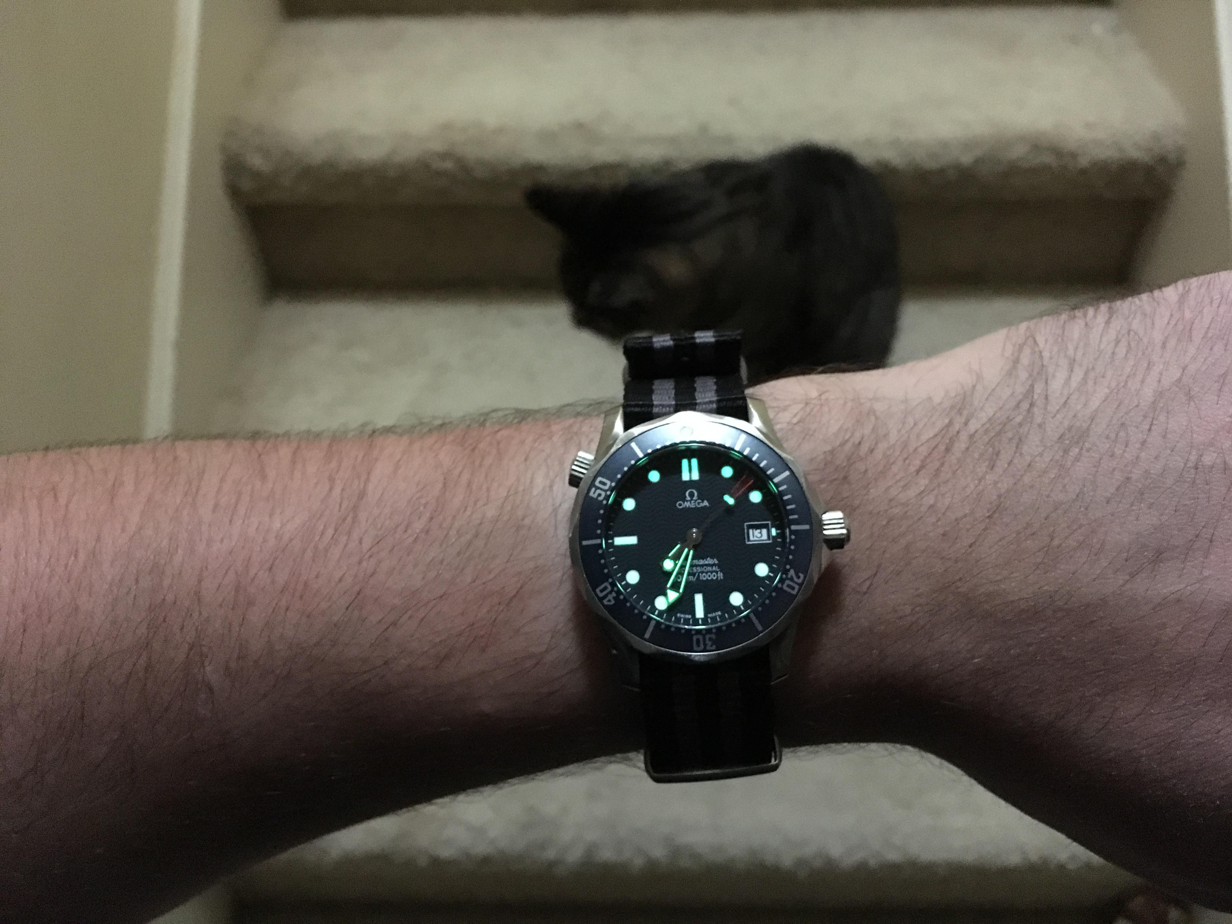 Faded Bezels - Natural vs Artificial and the Only True Cause ...