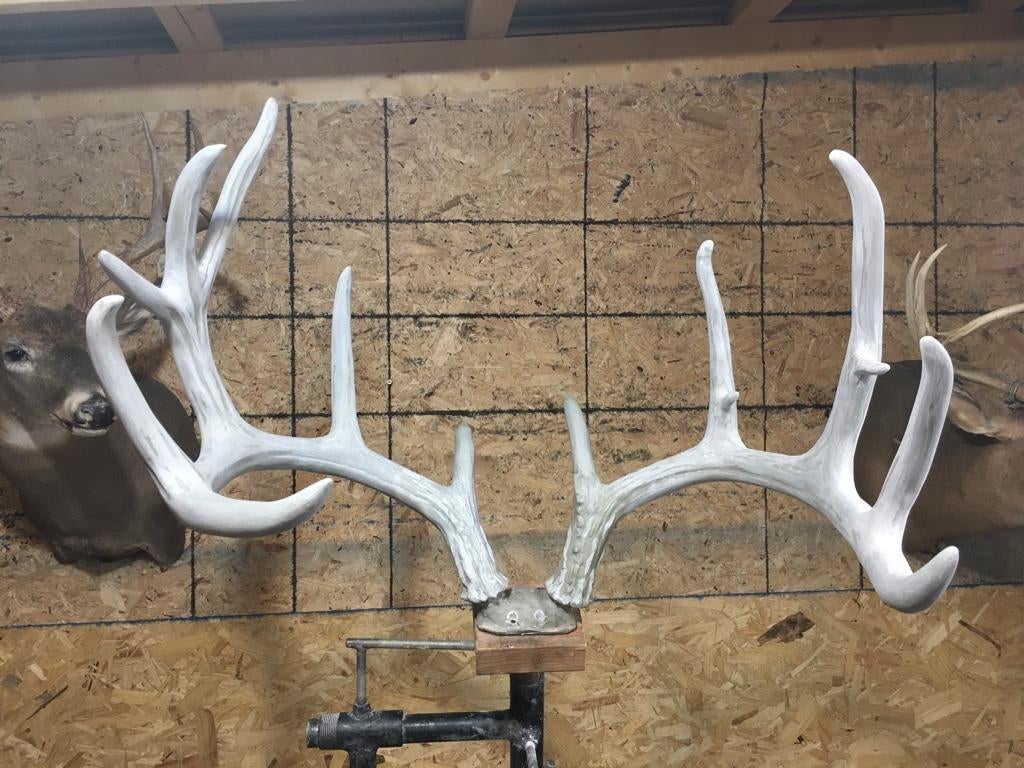 DIY Giant Replica Antlers | Archery Talk Forum