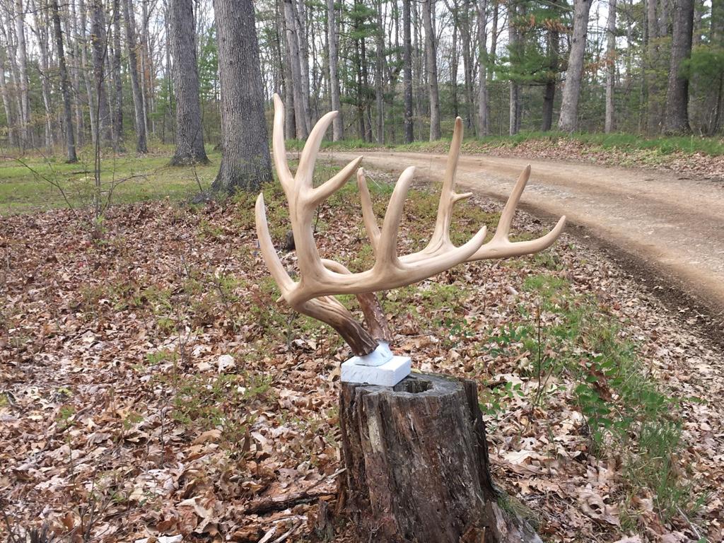 DIY Giant Replica Antlers | Archery Talk Forum