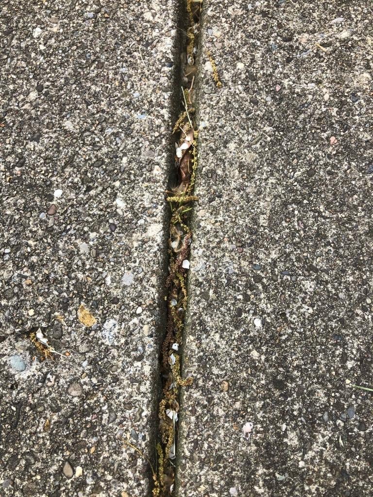 Filling large gaps in driveway concrete slabs | DIY Home Improvement Forum