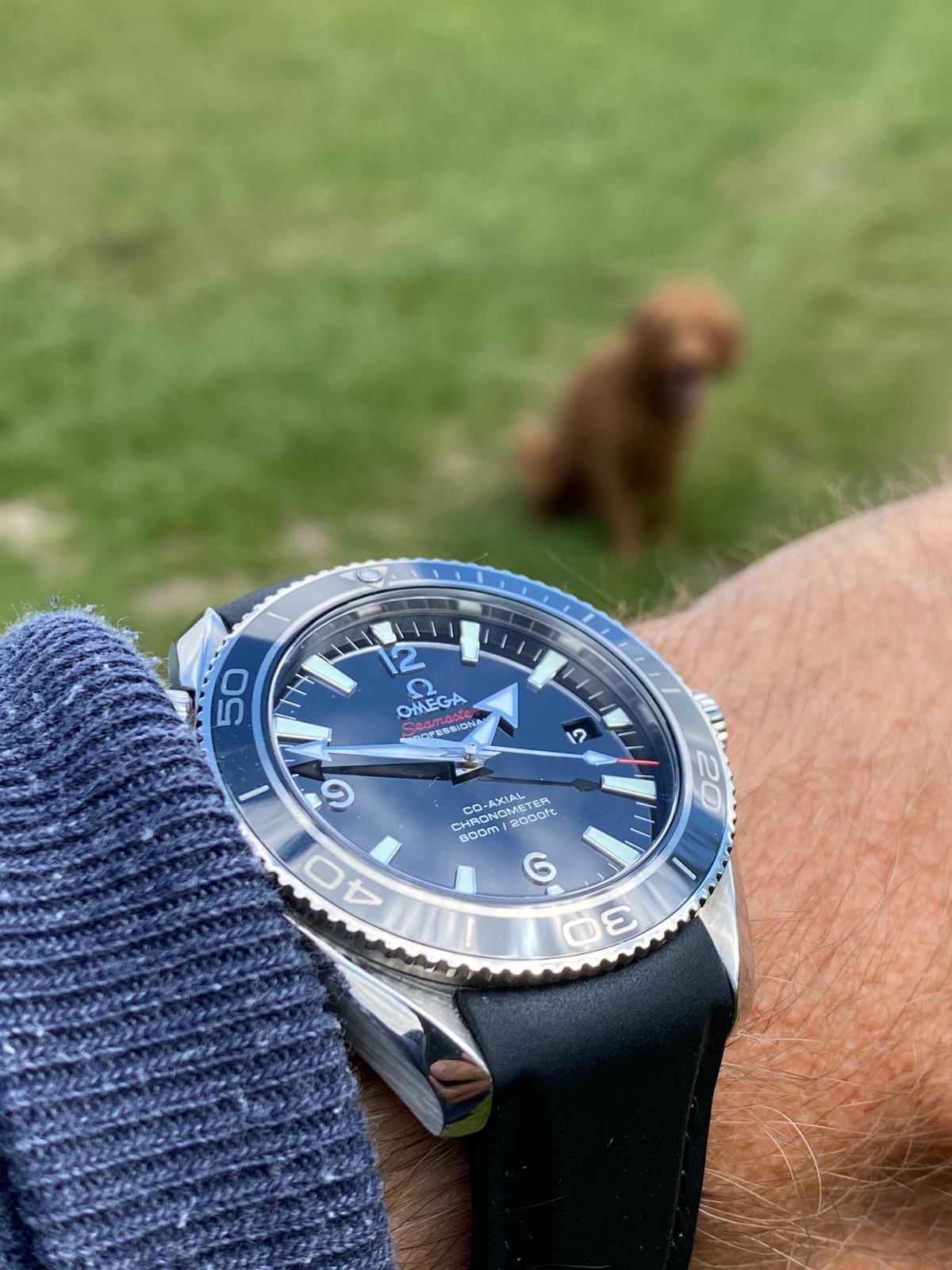 Omega Planet Ocean 39.5 | Page 2 | WatchUSeek Watch Forums