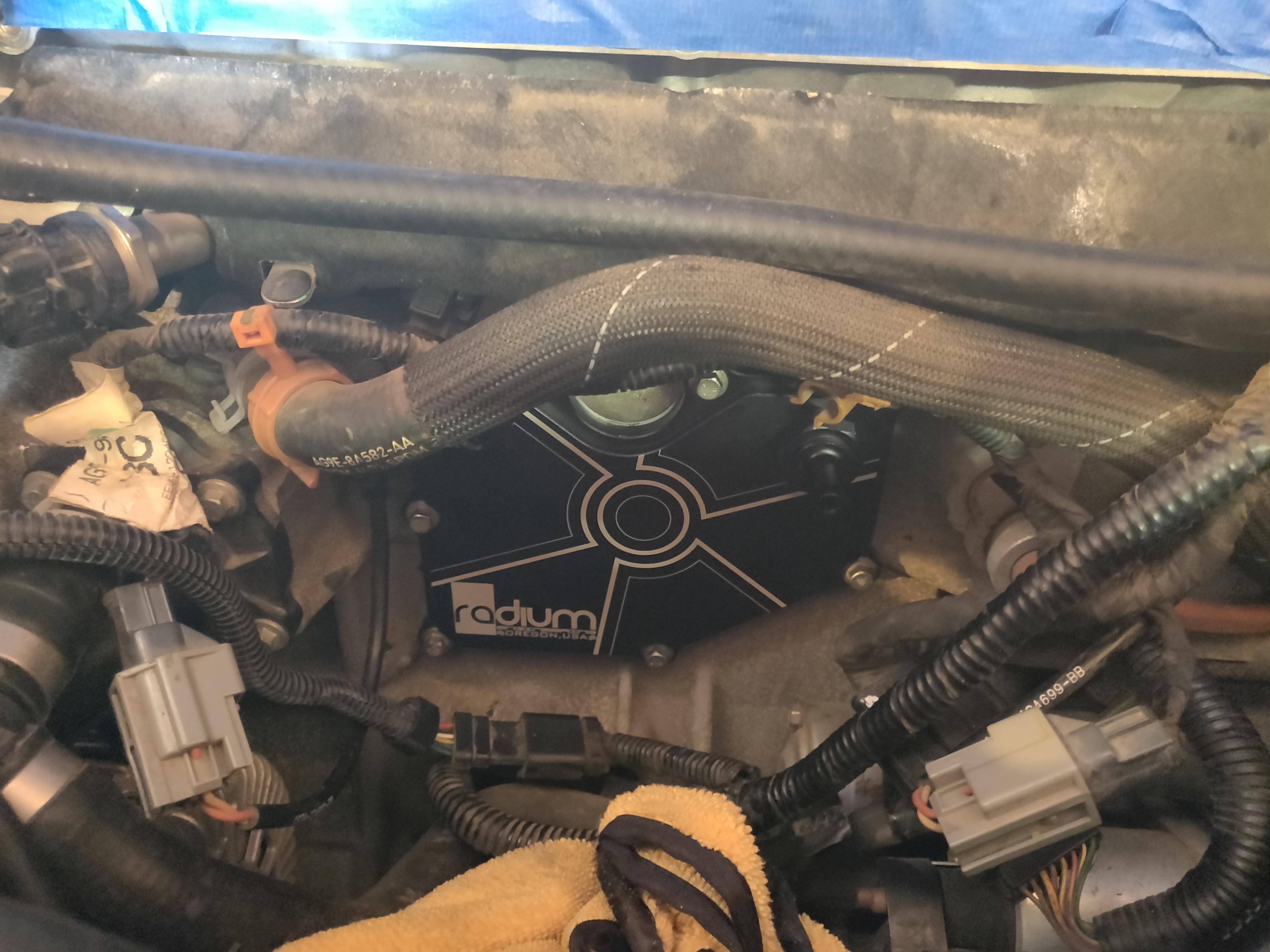 Best catch can? | Ford Focus ST Forum