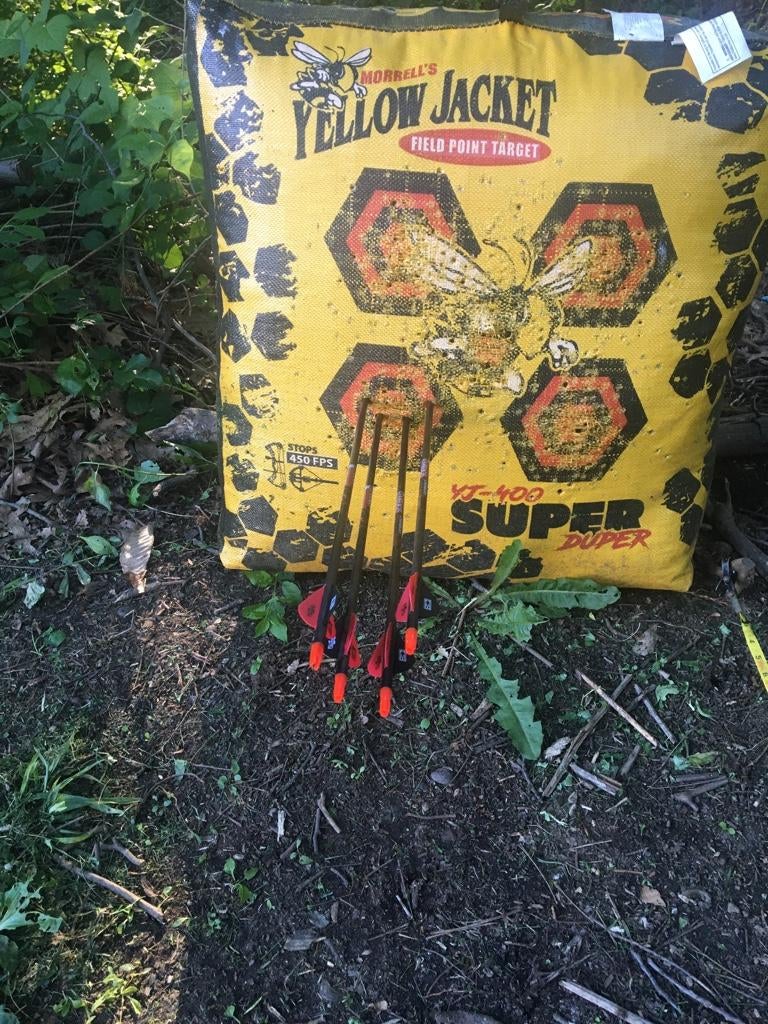 Bear Paradox HC | Archery Talk Forum