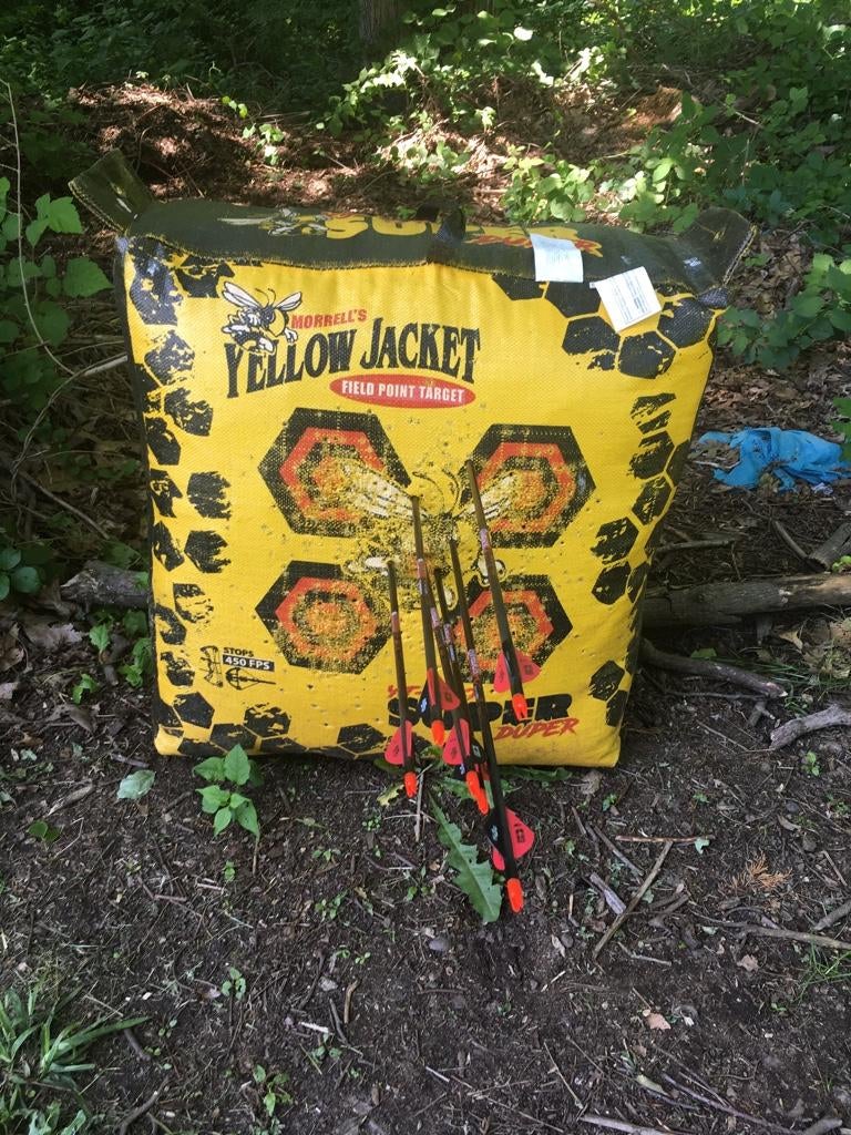 Bear Paradox HC | Archery Talk Forum