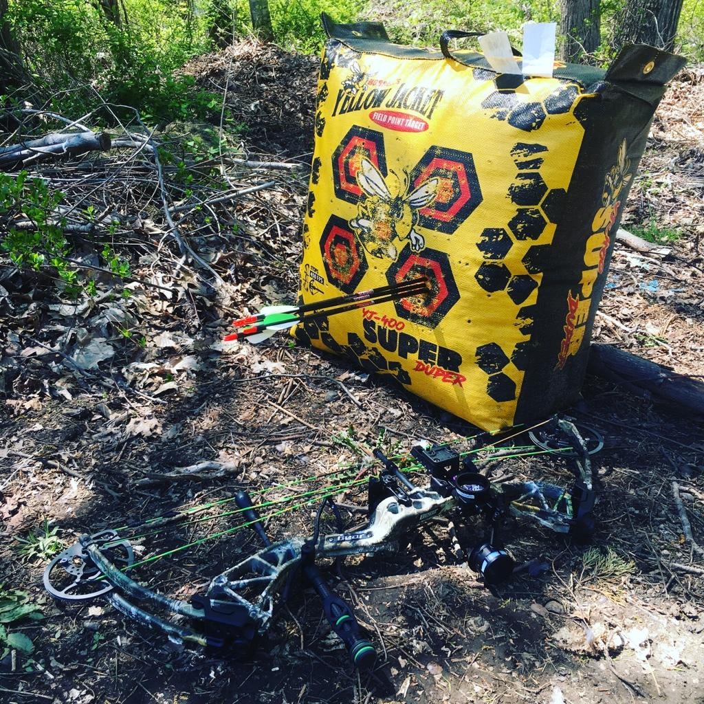 Bear Paradox HC | Archery Talk Forum