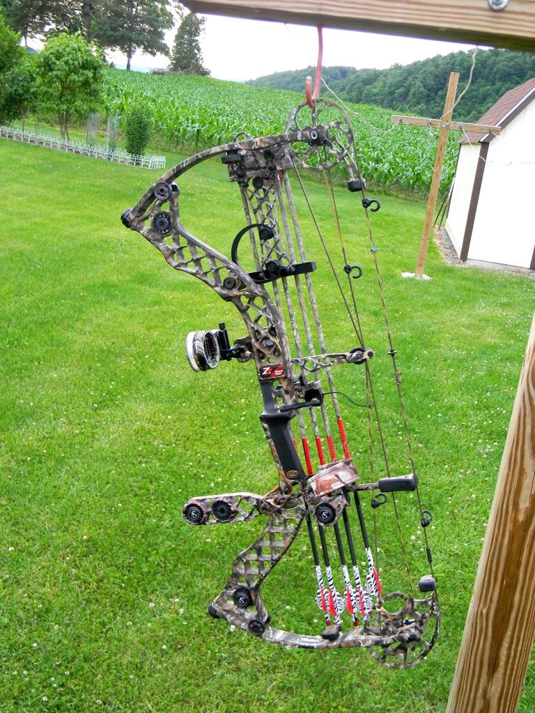 Hydro Dip Sight and Rail? | Archery Talk Forum
