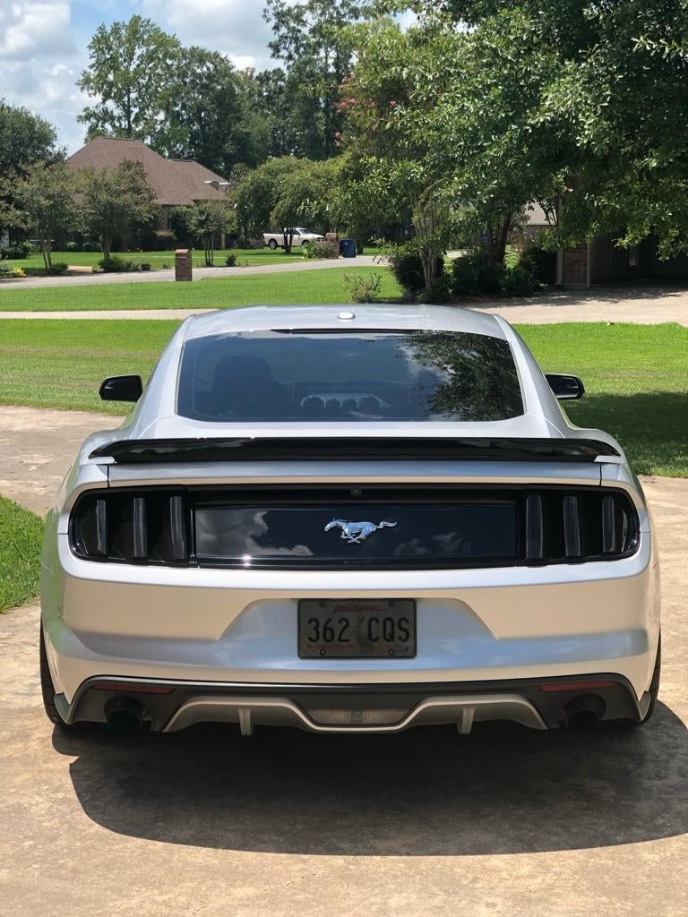 Spoilers?? | Ford Mustang Ecoboost Forum